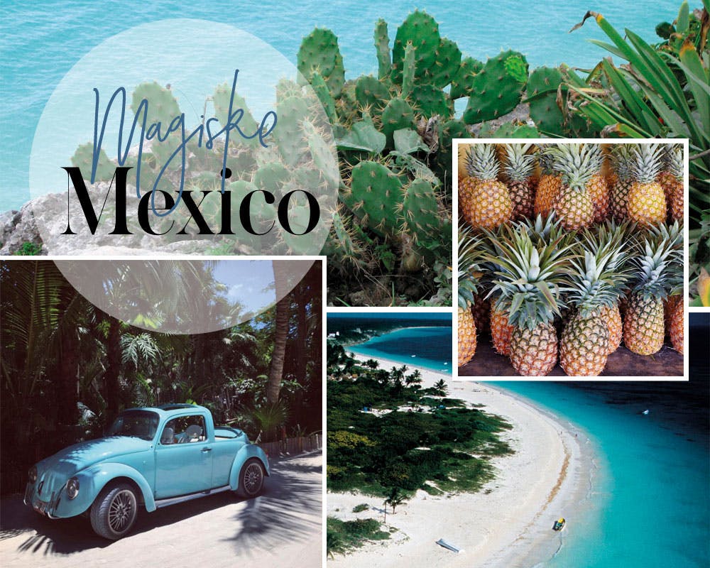 REJSEGUIDE | Magiske Mexico | Femina