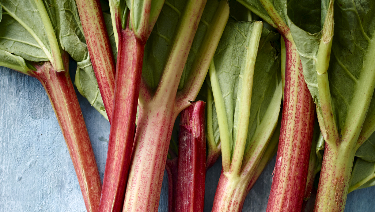 Rabarber - gratis opskrifter med rabarber | femina.dk